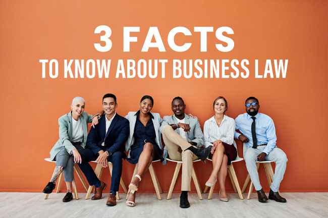 3 Facts to Know About Business Law [infographic] | Loftin & Loftin PA
